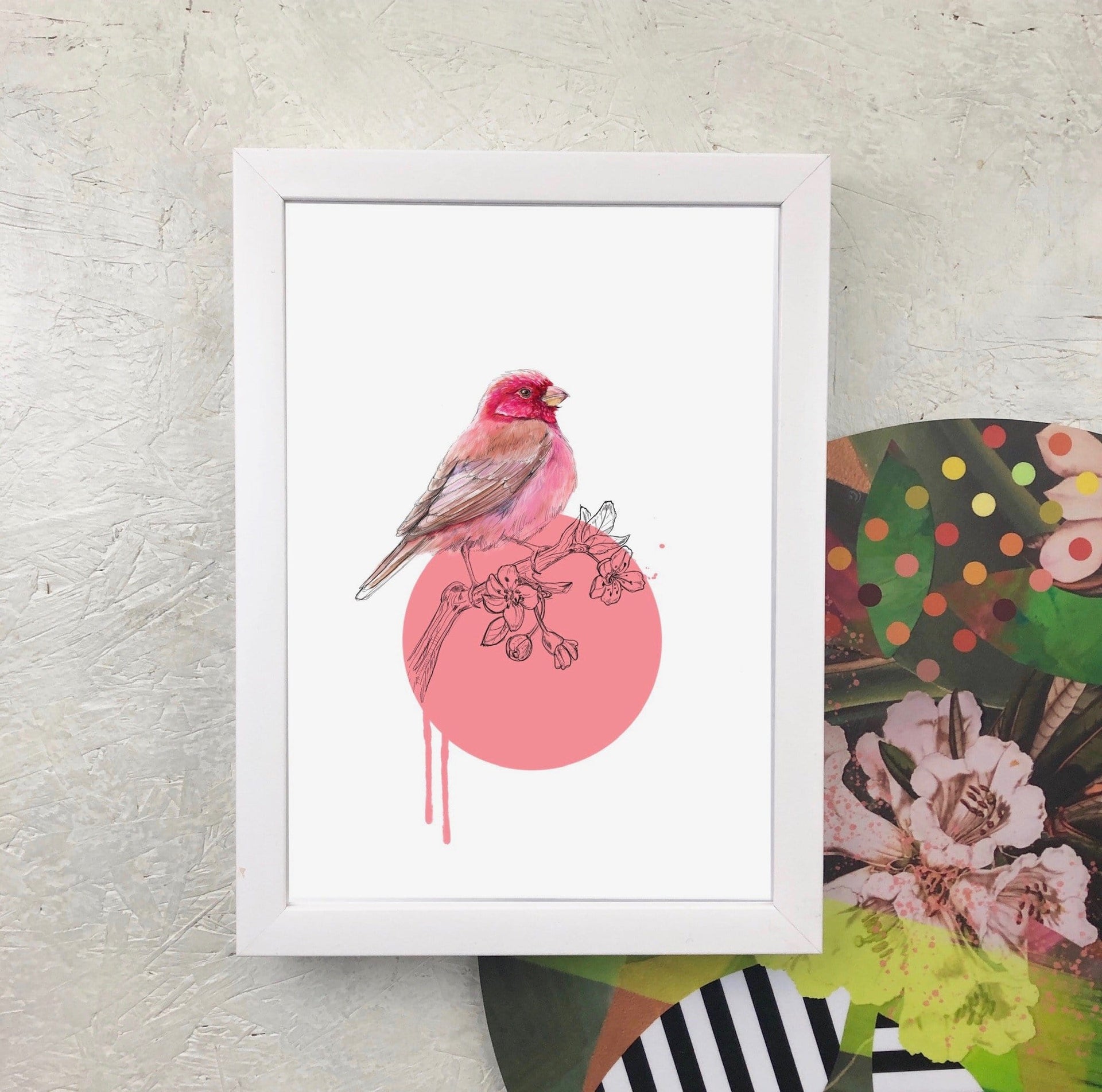 Rose Finch Giclée Art Print – diedododa