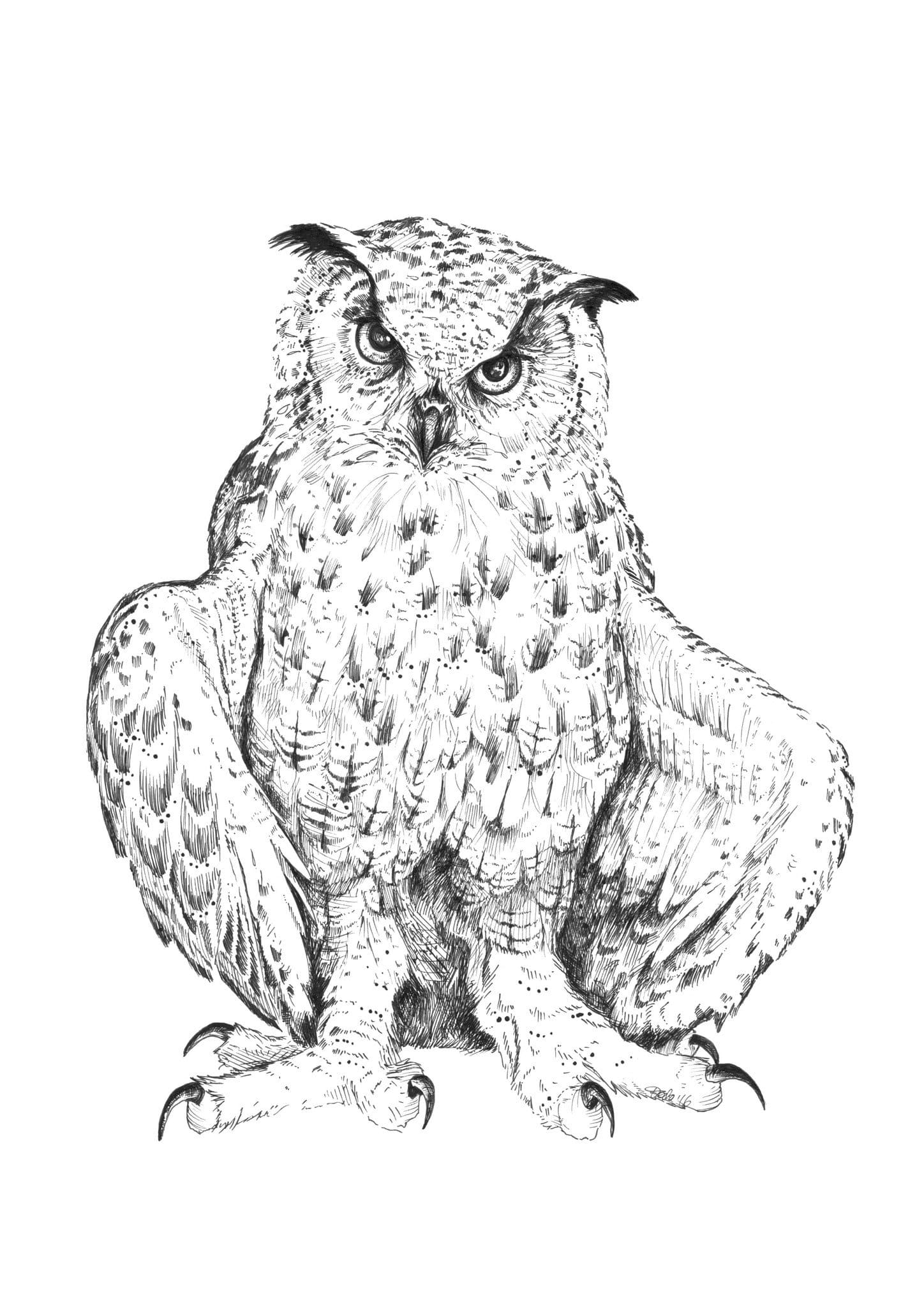 Scowly Matte Art Print – diedododa